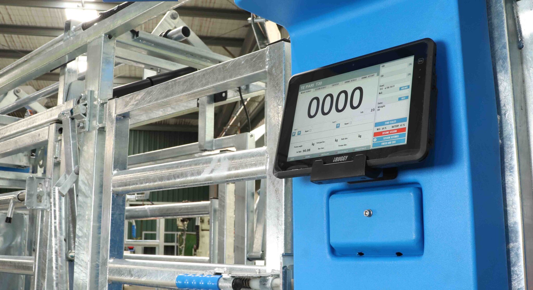 4 Tips for Choosing a Cattle Scale - World Magazine 2024