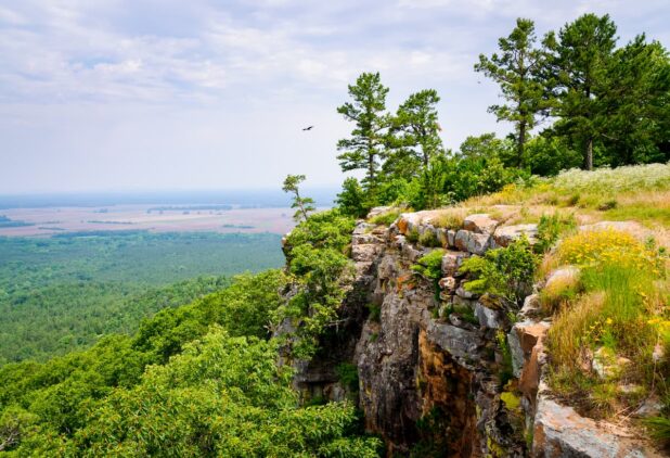 Branson and the Culture of the Ozarks - World Magazine 2024