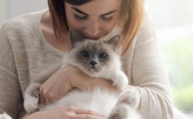 3 Tips for Preventing Common Cat Injuries - World Magazine 2024